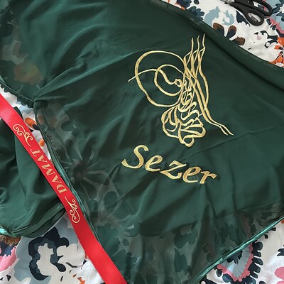 3D Floral Veil, Wedding Veil, Henna Night Veil, Bridal Veil, Veil Sash ...