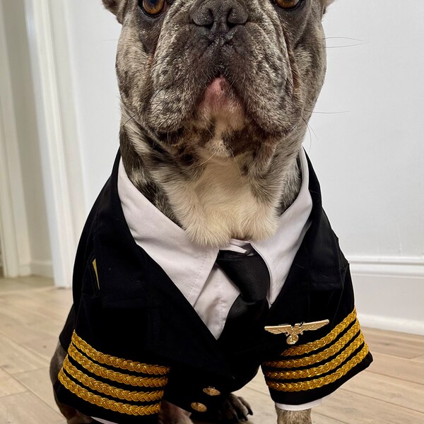 Custom Made Dog Cat Pet Pilot Captain Aviator Uniform Blazer Coat and ...
