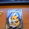 Digimon Renamon Hard Enamel Pin Cute Digimon Fanart Pin - Etsy