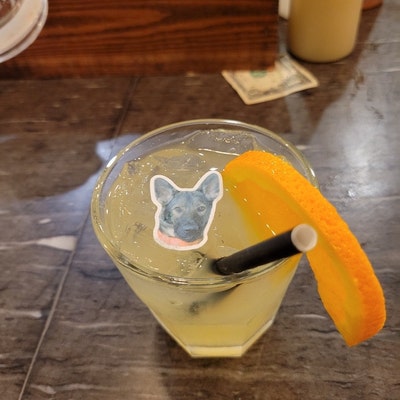 Pet Portrait Cut-out Wafer Drink Topper, Cocktail Topper, Custom Edible ...