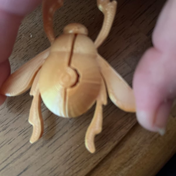 Cave of Wonders Golden Scarab From Aladdin - Etsy
