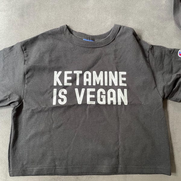 Punch Resistance in the Face Shirt, Unhinged T-shirt, Funny Saying Tee ...