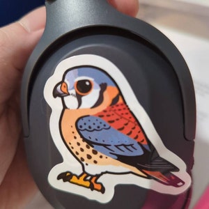 Gyrfalcon, Cute Bird Sticker: Raptor (waterproof) - Etsy