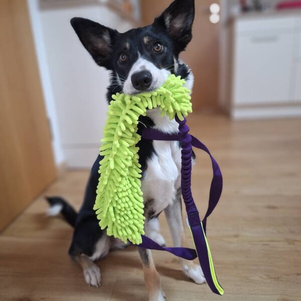 Agility Leash With Mop and Bungee 3in1 - Etsy