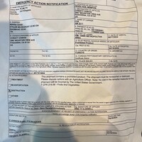 2 Lb ,fresh Green Plum , Greengage ,generik,janerik,seasonal Fruit ...