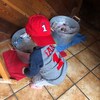 Baby's First Birthday Cap 0-24m - Baby - Personalized Birthday Baseball ...