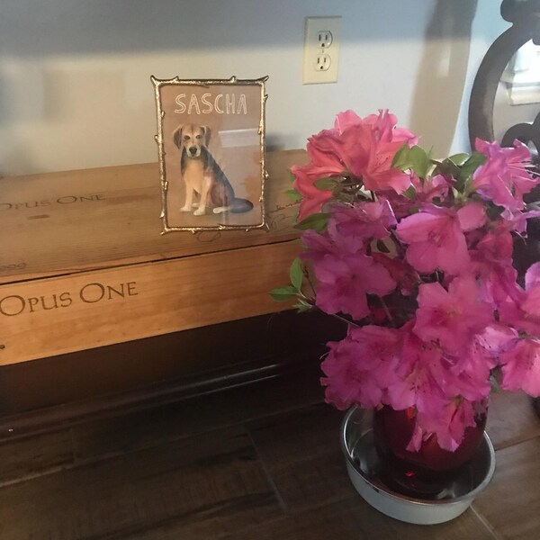 40 Yoga Animal PRINTABLE Cards/asana Sequence Planner/digital Download ...