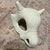 Cubone Skull - Etsy
