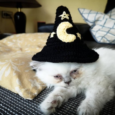 Wizard Pet Costume, Wizard Costume for Cat, Halloween Cat Hat, Wizard ...