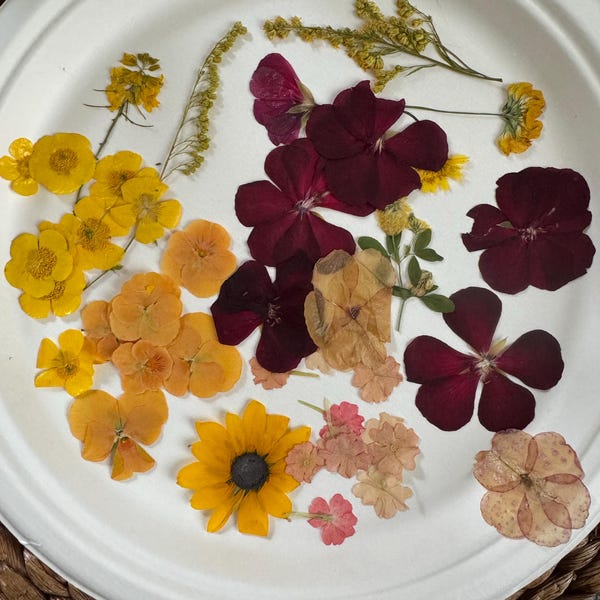 Small Vintage Skeleton Keys Antique Keys Old Cool Keys for Antique ...