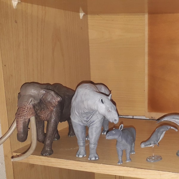 Livyatan Melvillei, Miniature to Scale; Replicas of Extinct Fauna of ...