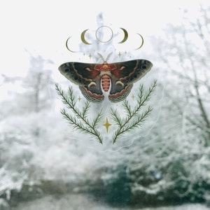Beautiful Transparent Vinyl Sticker Red Moth Waterproof - Etsy