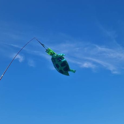 Duck Windsock - Etsy
