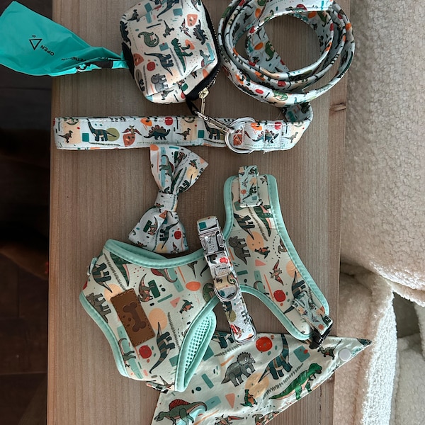 Dog Harness Dinosaur Set, Personalized Dog Bow Tie Collar and Leash ...