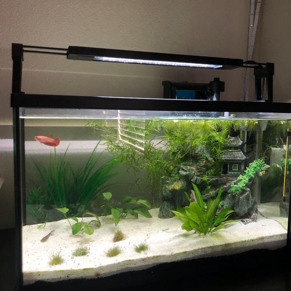 Fluval Aquasky/plant 3.0 Light Risers: Aquarium Tank Mount - Etsy