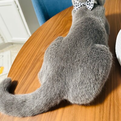 Pop Art Fish Canvas, Vibrant Aquatic Art, Ocean Wall Decor, Large ...