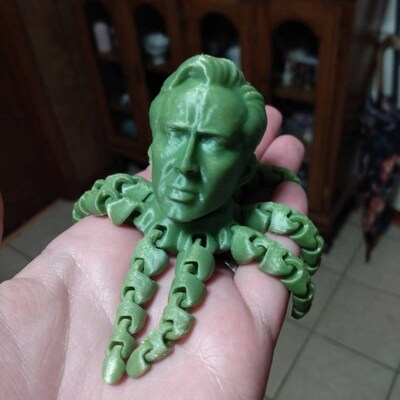 Nicolas Cage Octopus Fidget Toy/ Rocktopus/ Nic Cage - Etsy