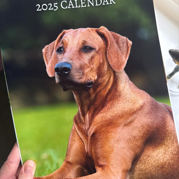 Cavapoo Calendar 2025: Monthly Wall Calendar With Notes, Opens to A3 ...