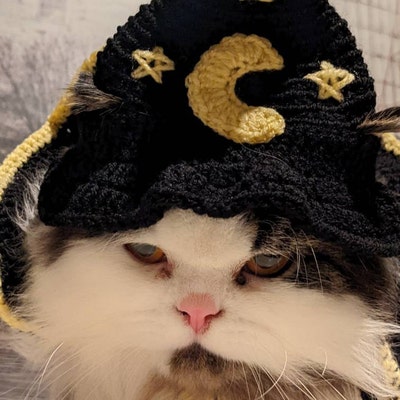 Wizard Pet Costume, Wizard Costume for Cat, Halloween Cat Hat, Wizard ...