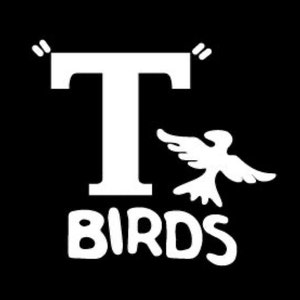 T-birds SVG Cut File, Cricut, Silhoutte - Etsy