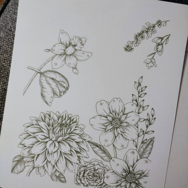 How to Draw Flowers PRINTABLE DIGITAL DOWNLOAD Worksheet, Daffodil ...