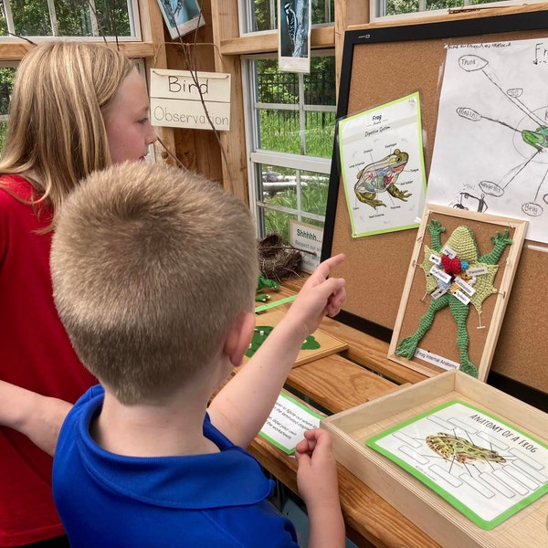 Crochet Dissected Rat - Etsy