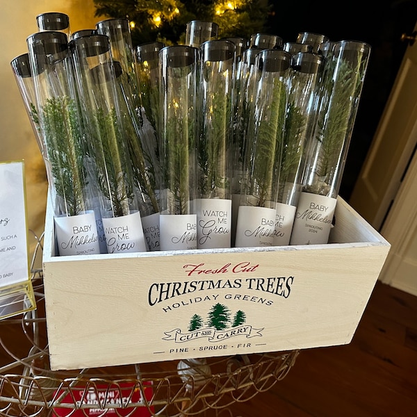 Watch Me Grow Baby Shower Tree Favor | Favors for Baby Shower | Gift ...