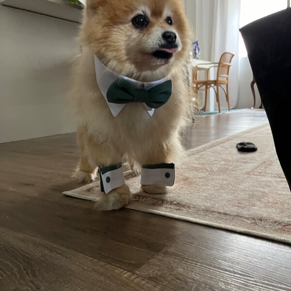 Dog Cuffs, Custom Dog Tuxedo Cuffs for Wedding, Dog Wedding Accessory ...