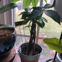 Match Strike Paper 8.5 X 11 Scored Sheet 2 X .5 Adhesive Strips - Etsy