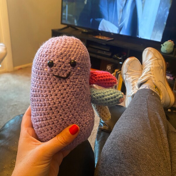 Anatomical Kidney Crochet Pattern! PATTERN ONLY Instant DOWNLOAD ...