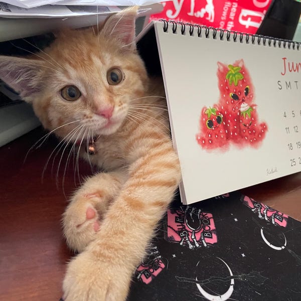 2025 Desktop Calendar Cute Watercolor Cats 12 Months of Adorable Cat ...