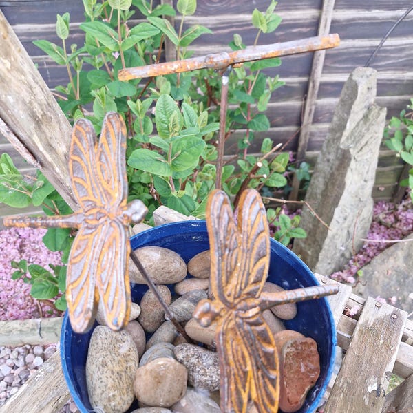 Large Metal Poppy Seed Heads. Rusted Sculptures for the Garden. Garden ...