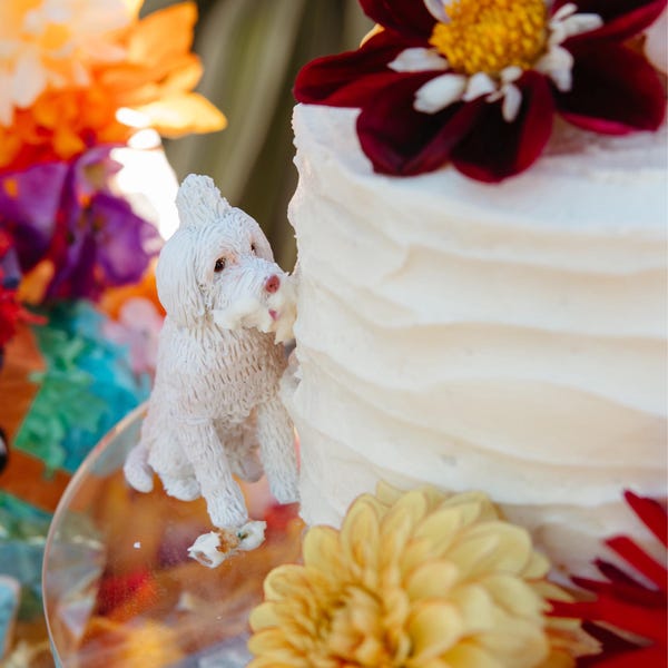 Pet Cake Topper Hat, Pet Birthday Cake Topper,pet Birthday Cake, Pet ...