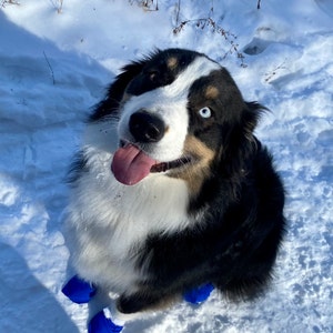 Finish Top Dog Booties set of 4 Sled Dog Snow Boots Iditarod Boots Pet ...