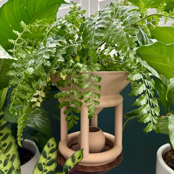 The FUNNEL Planter With Stand and Water Catch for Indoor House Plants ...