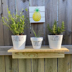 Herb Decals Potted Plant Labels Basil Label Oregano Label - Etsy
