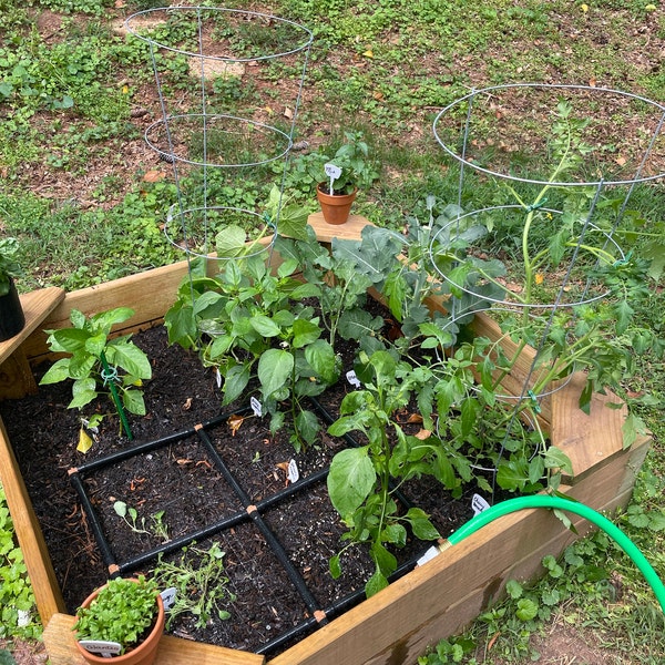 2x4 Garden Grid™ Watering System - Etsy