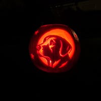 CHECK ENGINE LIGHT Pumpkin Carving Stencil, 8 Car Repair Halloween ...