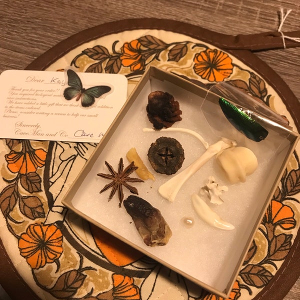 Adorable Miniature Bone Throwing Kit Gift Set - Bone Casting Divination ...
