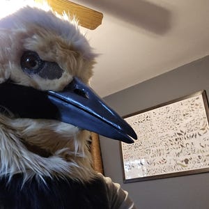 Java Finch Mask .STL Files for 3D Printing - Etsy