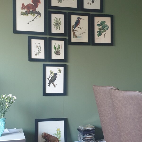 Modern Sleek Black White Rustic Oak Dark Oak Picture Frames Sleek Home ...