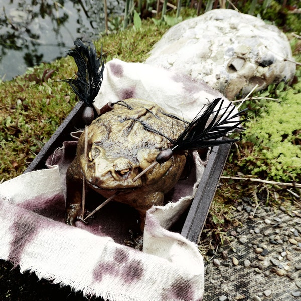 Hex Voodoo Frog – Ritual Toad Sculpture With Pins - Etsy