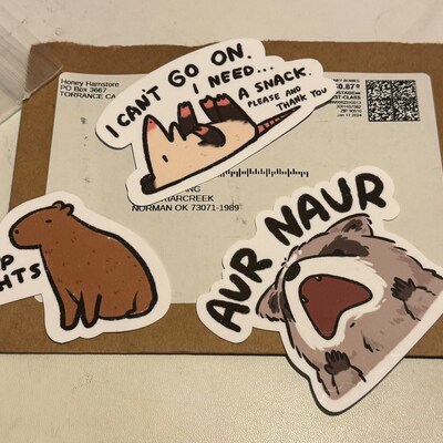 Bombastic Side Eye Funny Sticker Gifts Under 10 Water Resistant Sticker ...