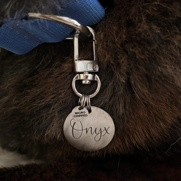 Microchip Dog Tag, Custom Dog Tag, Microchipped, Pet Tag, Dog ID Tag ...