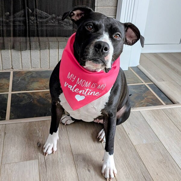 Ball-less & Flawless Dog Bandana, Funny Dog Bandana, Neuter Bandana ...