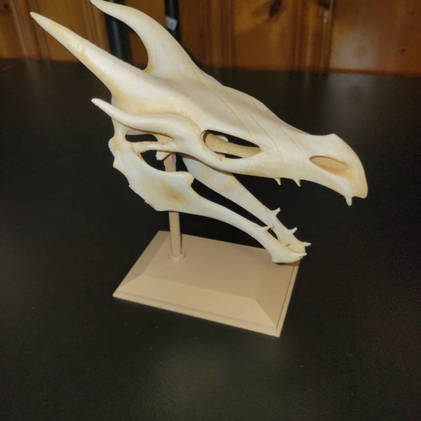 Skyrim Dragon Skull - Hand-painted Replica With Stand | Elder Scrolls ...