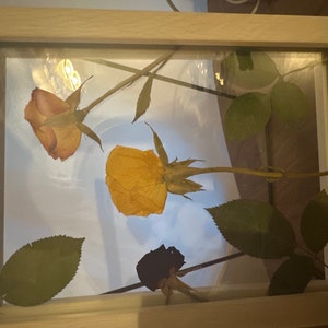 Rhinestone 5 Pcs Charging Cable Protective Sleeve for iPhone Bling ...