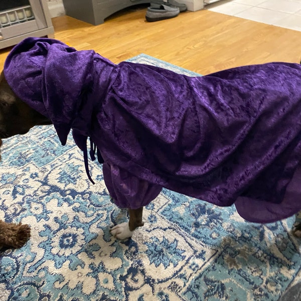 DOG Cape With Hood - Etsy