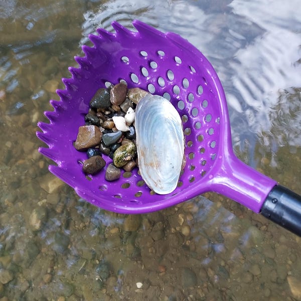 Shell Scoop, Rock Hunt Scoop, Shark Tooth Sifter, Sand Scoop, Rock ...