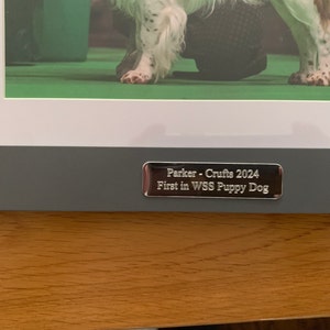 Achievement Trophy Customised Your Wording Personalised Wood Plaque ...